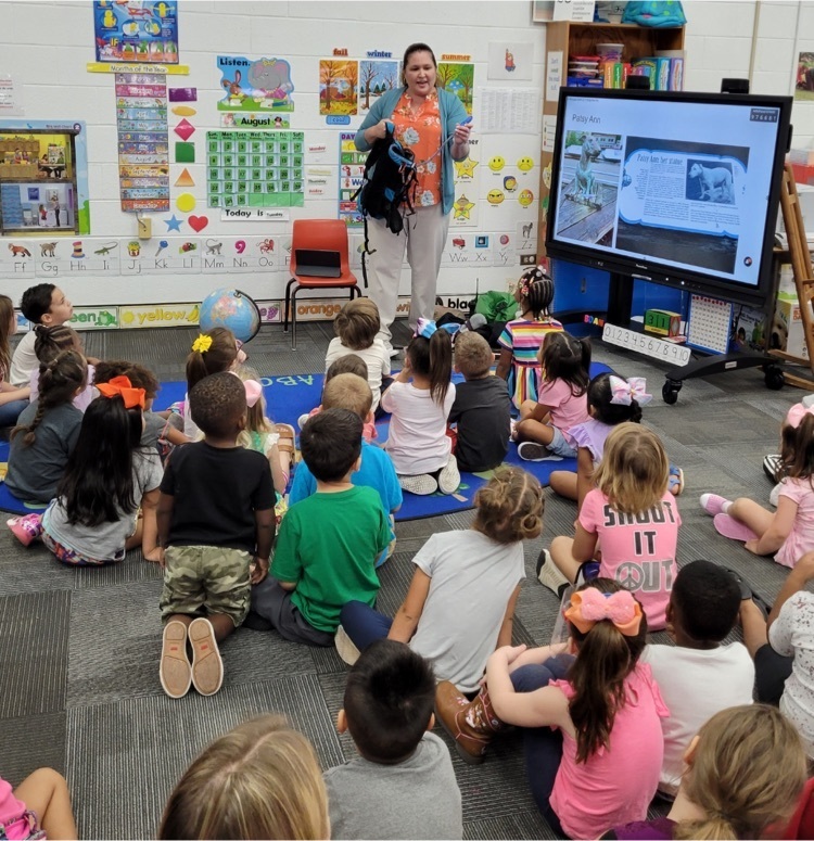 Live Feed | City View Elementary School