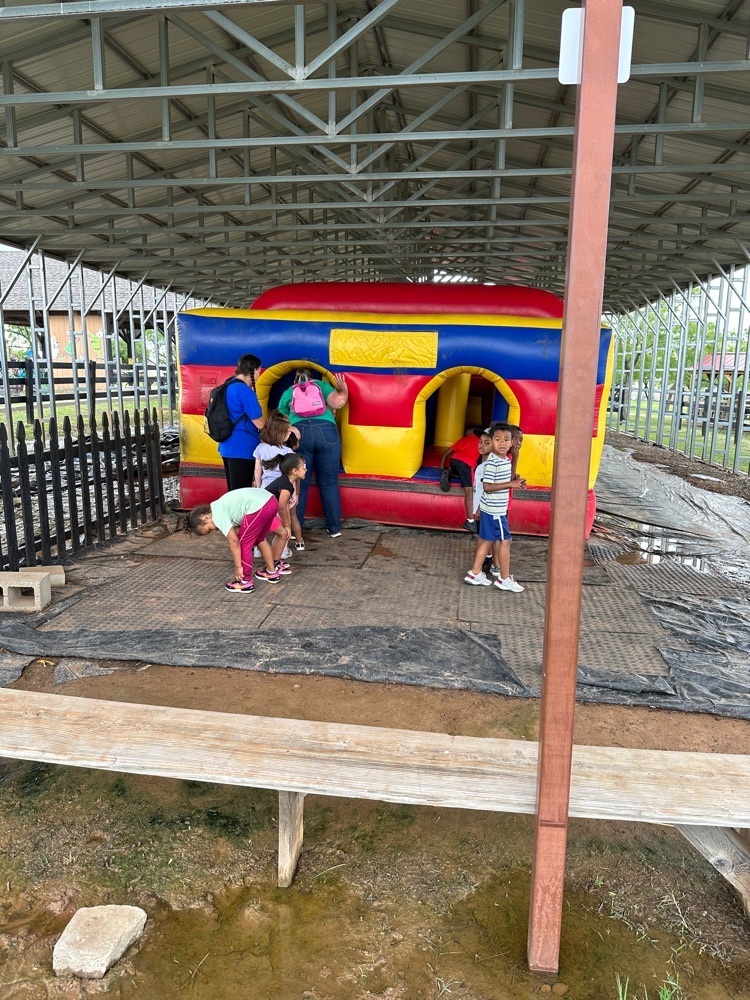 Live Feed | City View Elementary School